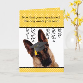 Humorous Graduation Card with German Shepherd | Zazzle