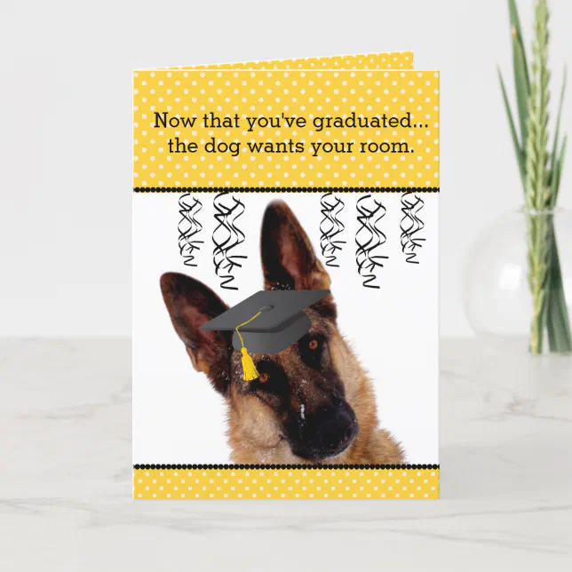 Humorous Graduation Card with German Shepherd | Zazzle