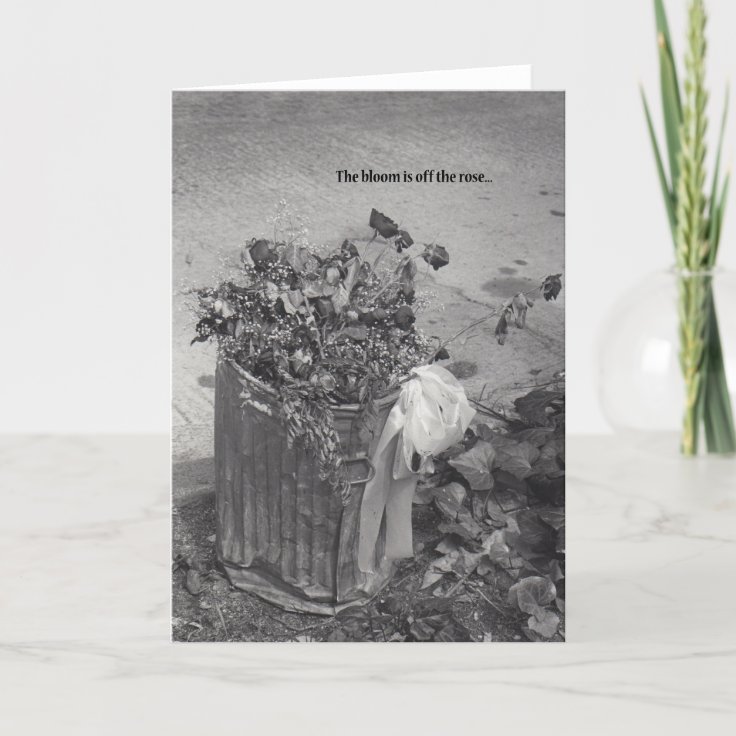 Humorous Greeting Cards | Zazzle