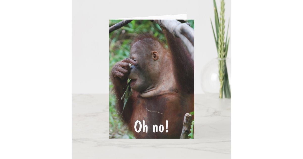 Humorous Senior Citizen Birthday Card Zazzle Humorous Senior Citizen Birthday Card Zazzle