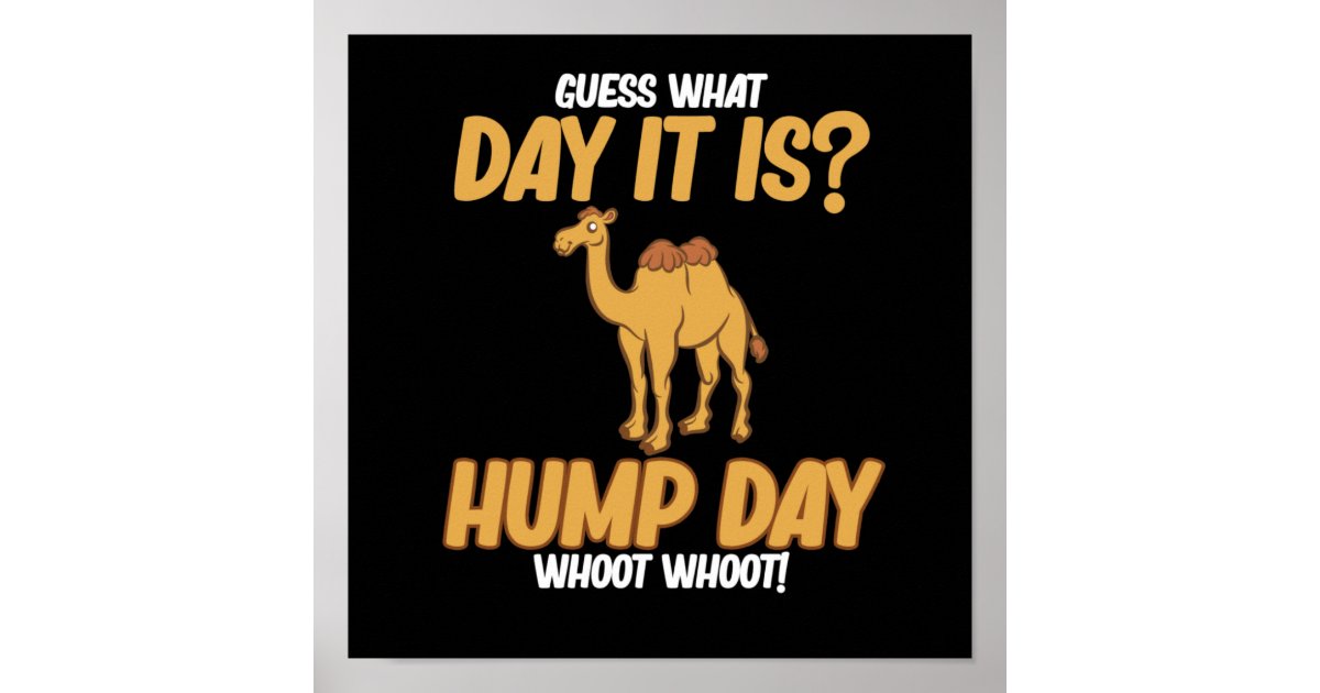 Hump Day Camel Animal Lover Camels Pet Owner Graph Poster | Zazzle