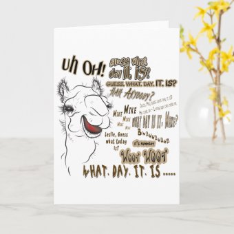 Hump Day Camel Card | Zazzle