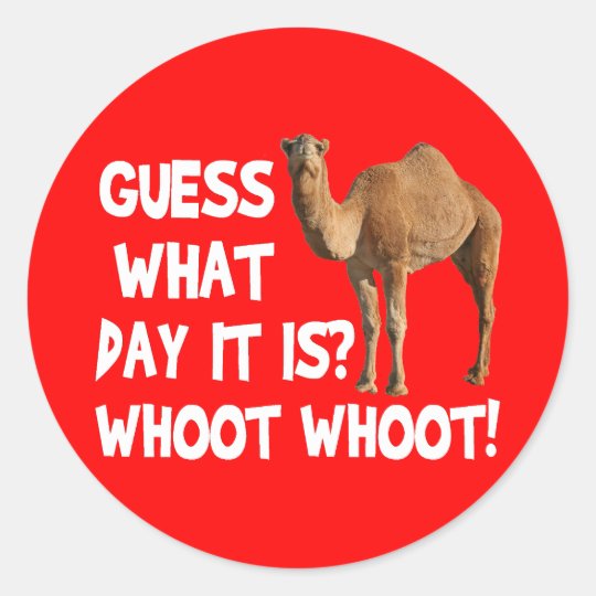 Hump Day Camel Guess What Day It Is Stickers | Zazzle.com
