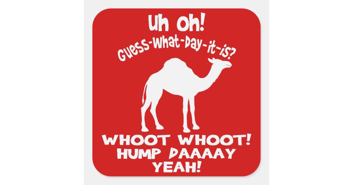 Hump Day Camel Stickers | Zazzle