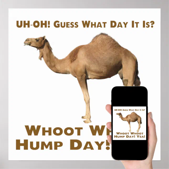 Hump Day Poster | Zazzle