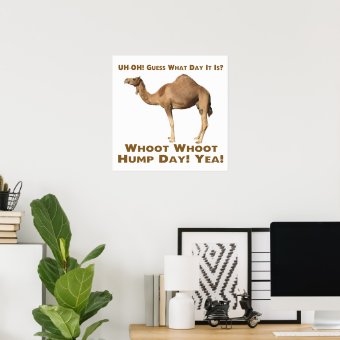 Hump Day Poster | Zazzle