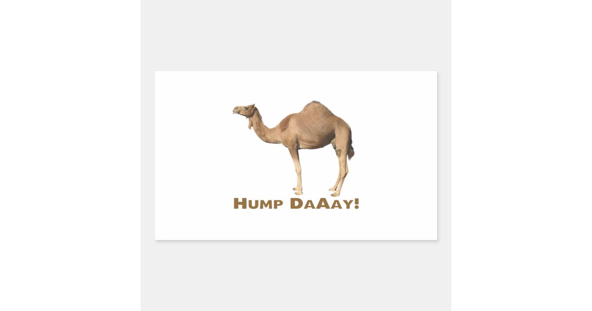 Hump day rectangular sticker | Zazzle
