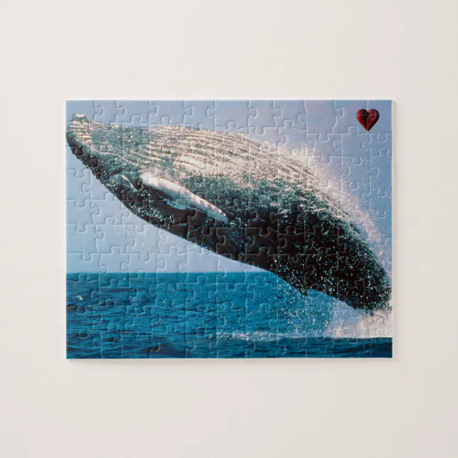 Humpback Whale Alaska Jigsaw Puzzle | Zazzle