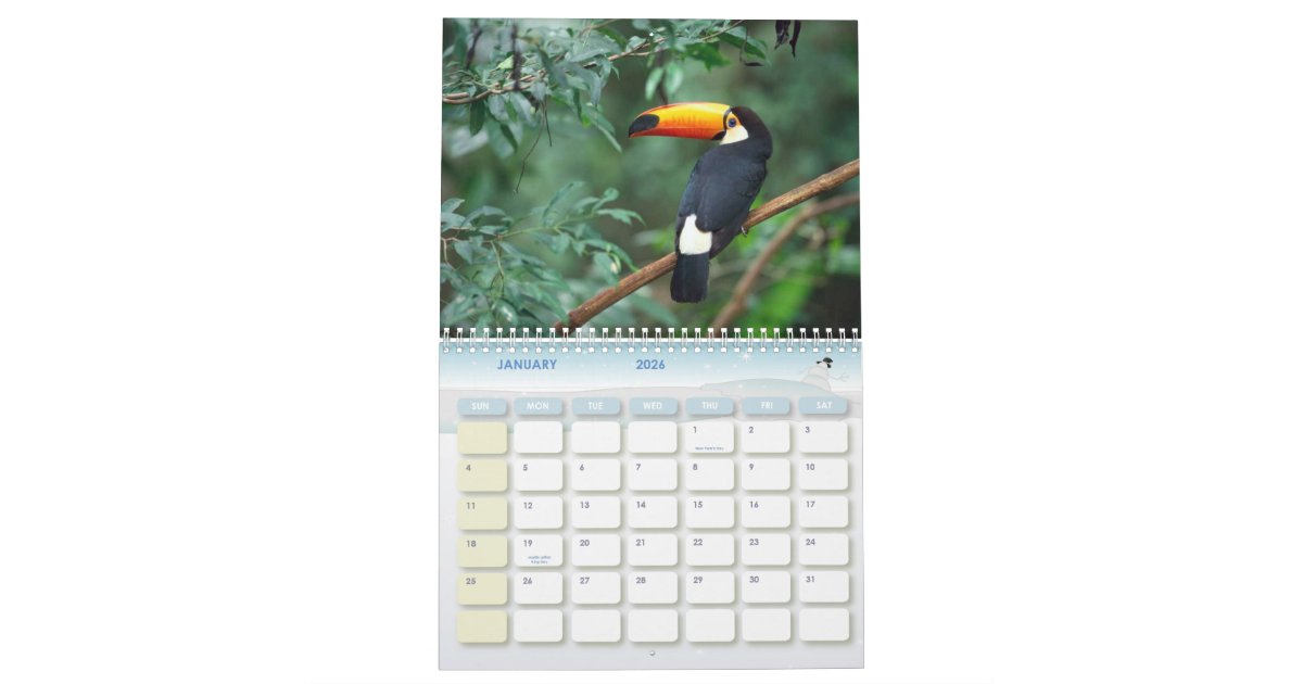 Humpback Whale, Calender 20010 Calendar | Zazzle
