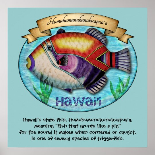 Humuhumunukunukuapua'a Poster | Zazzle.com