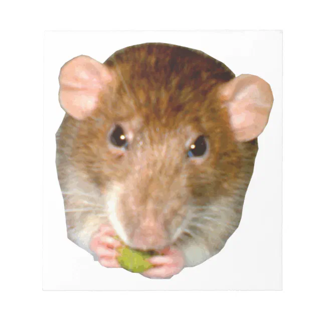 Hungry Rat Notepad | Zazzle