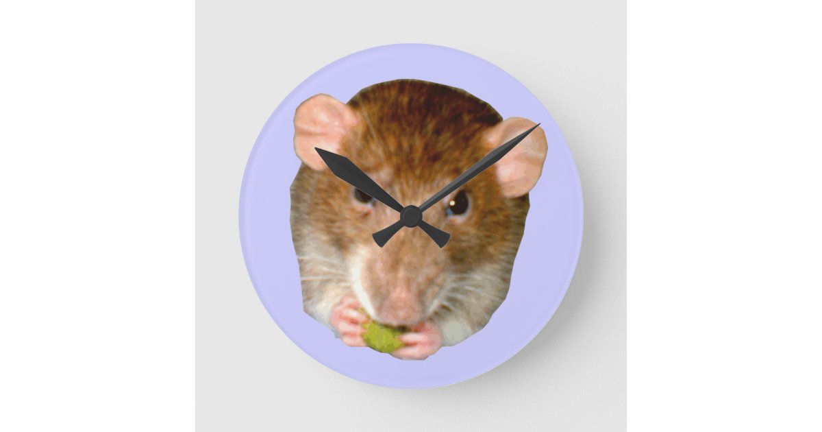 Hungry Rat Wall Clock | Zazzle