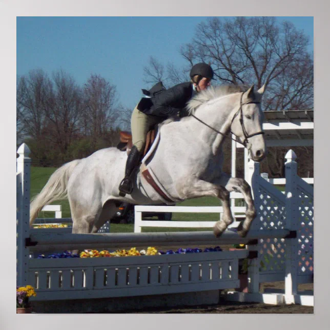 Hunter Jumper Poster | Zazzle