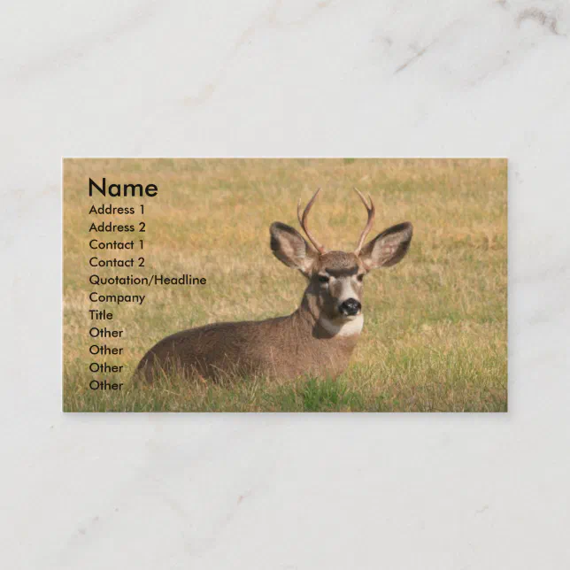 hunting Business Cards | Zazzle