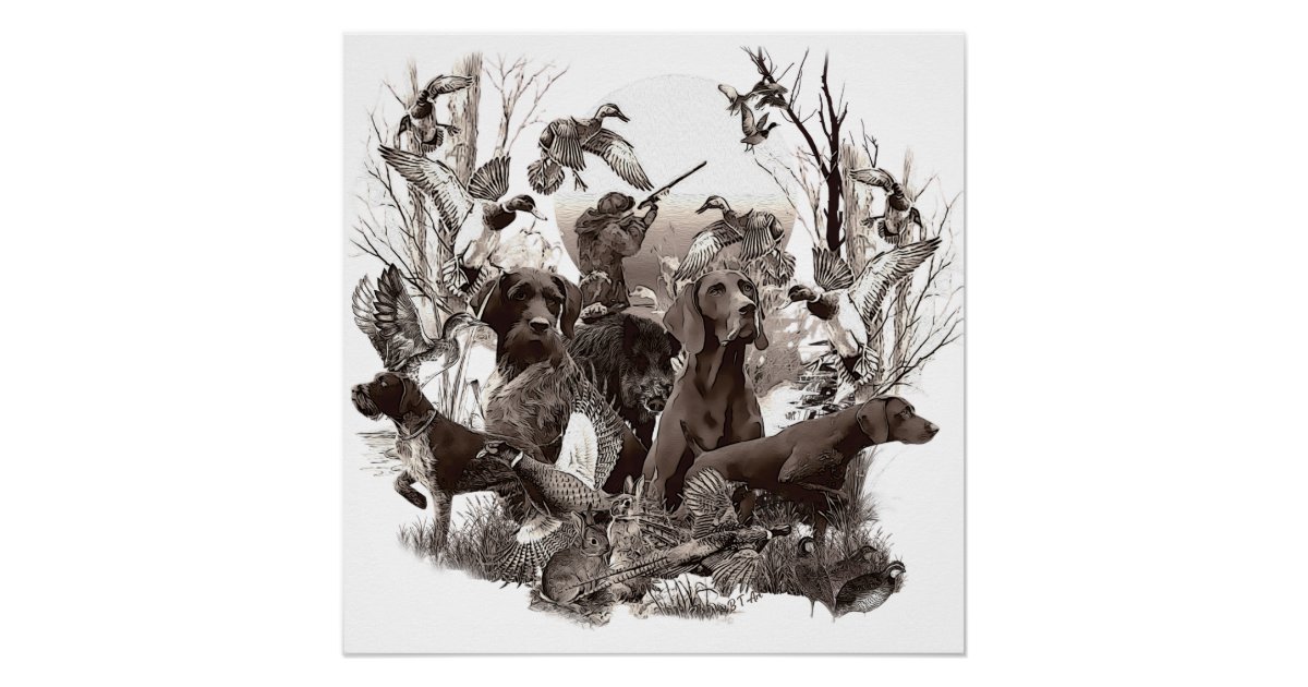 Hunting dogs (GSP) (GWP) Poster | Zazzle