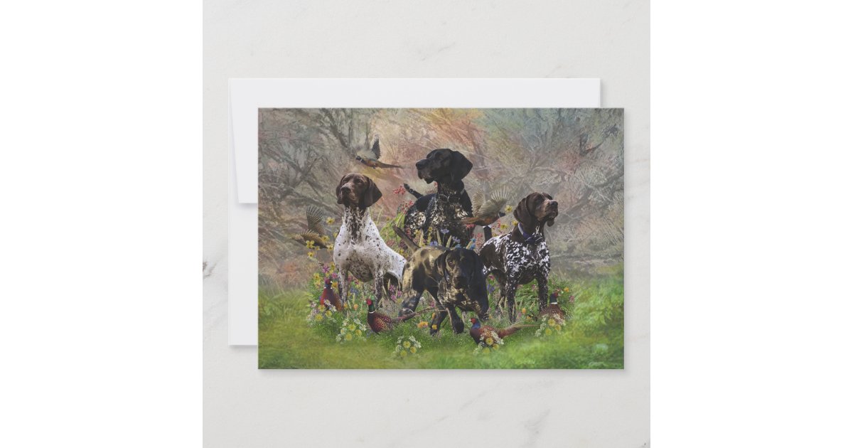 Hunting pheasant with GSP Invitation | Zazzle