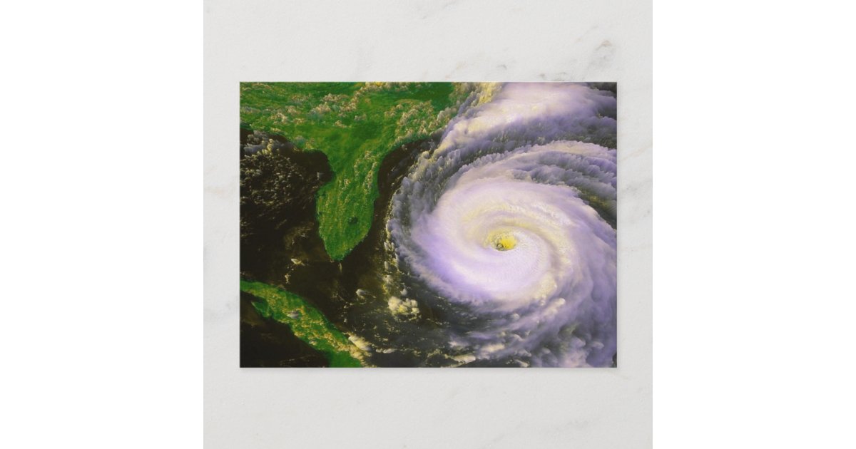 Hurricane Fran, September 1996 Postcard | Zazzle