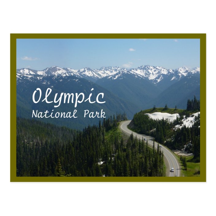 Hurricane Ridge (Olympic N.P.) with text Postcard | Zazzle.com
