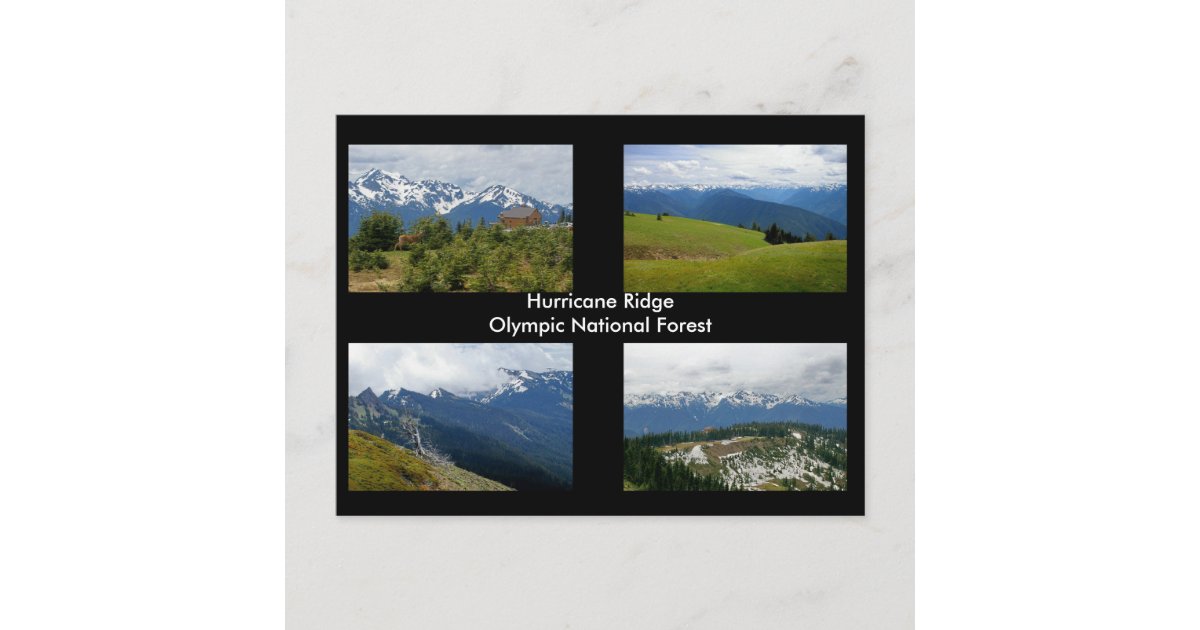 Hurricane Ridge Postcard | Zazzle