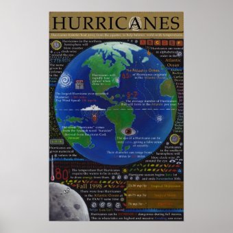 Hurricanes Poster | Zazzle
