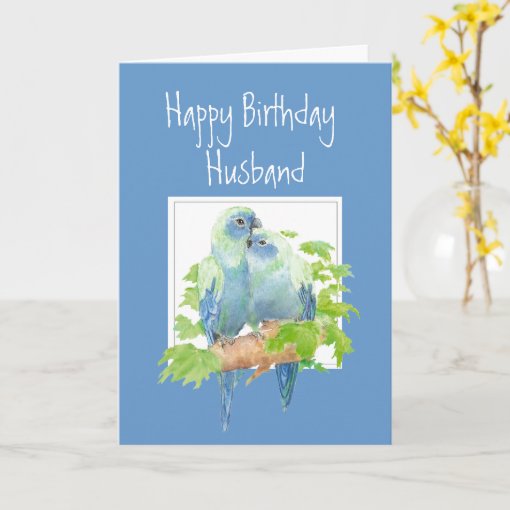 Husband Birthday, Cute Romantic Parrots, Birds Card | Zazzle