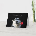Thank You Siberian Husky on Beach Greeting Card | Zazzle.com
