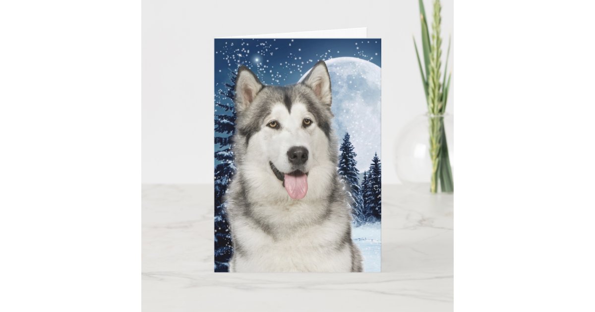 Husky Christmas Card | Zazzle