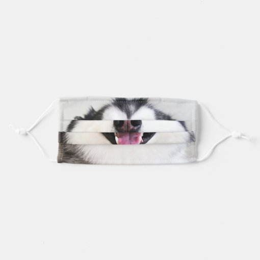 Husky Dog Adult Cloth Face Mask | Zazzle