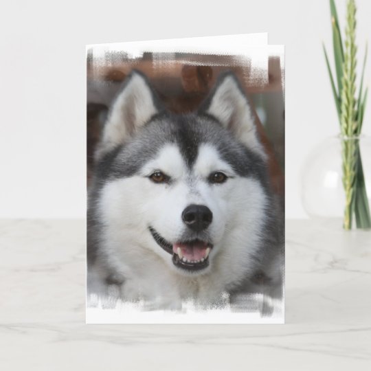 Husky Dog Greeting Card | Zazzle.com