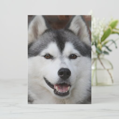 Husky Dog Invitation | Zazzle