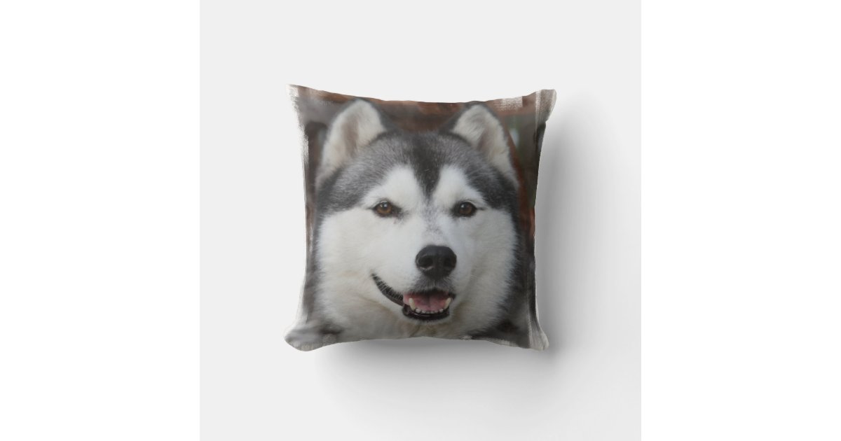 Husky Dog Pillow | Zazzle
