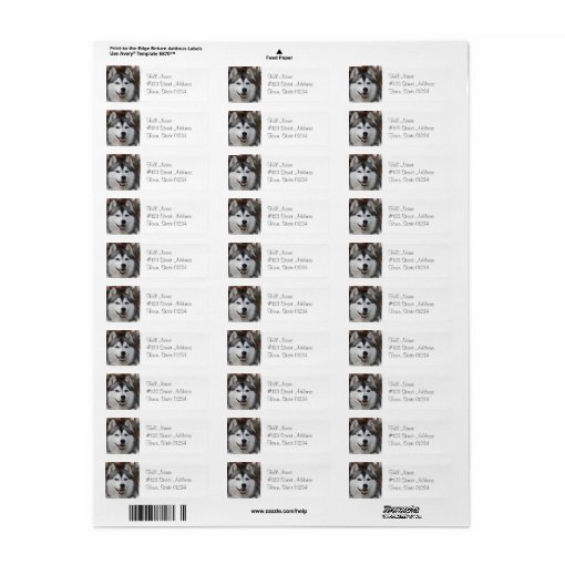 Husky Dog Return Address Label | Zazzle
