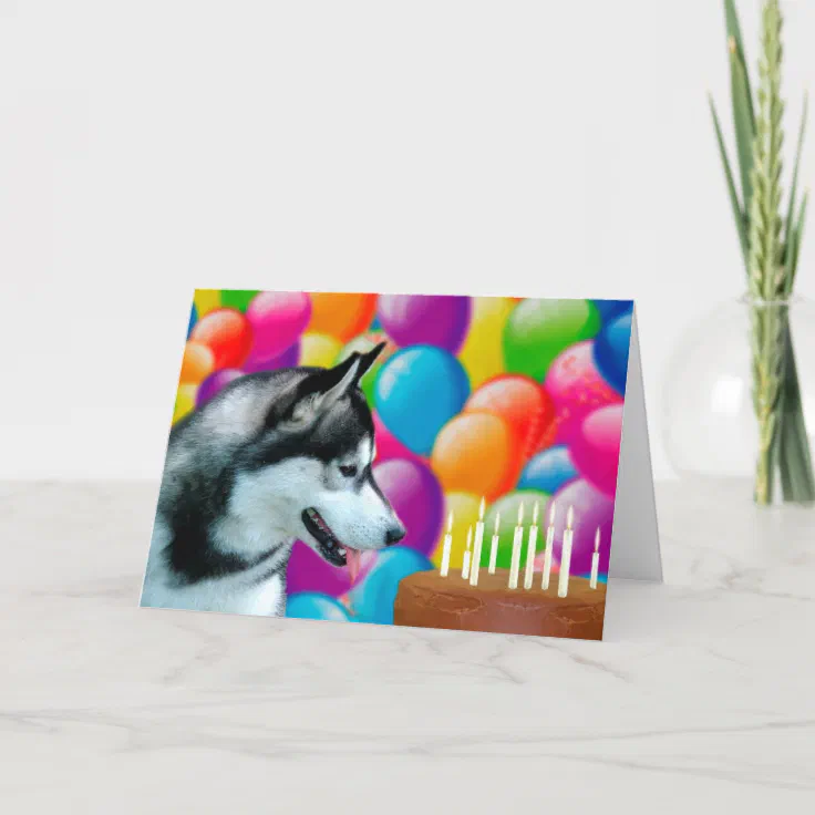 Husky Happy Birthday Card | Zazzle