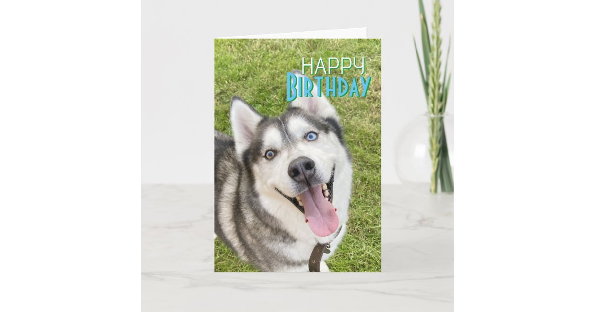 Husky Happy Birthday Card dog | Zazzle