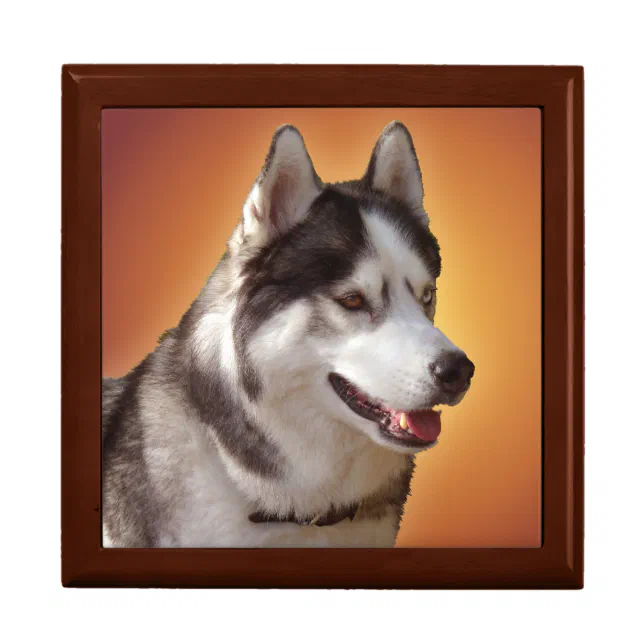 Husky Jewelry Box Siberian Husky Sled Dog Boxes | Zazzle