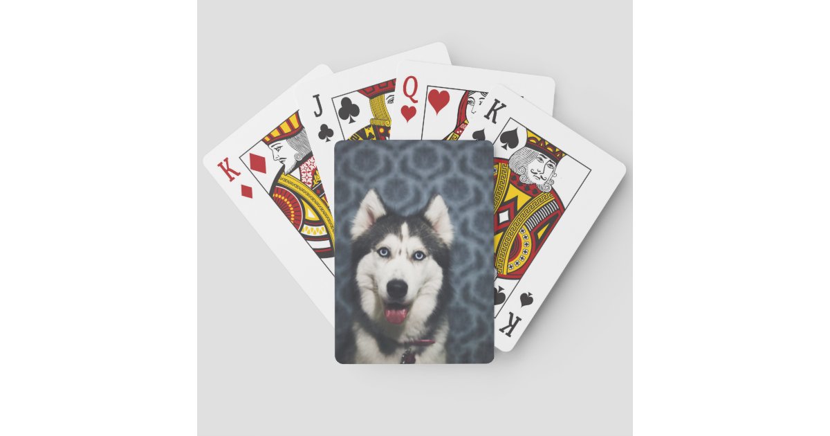 Husky Puppy Posing with a Dark Bakground Poker Cards | Zazzle