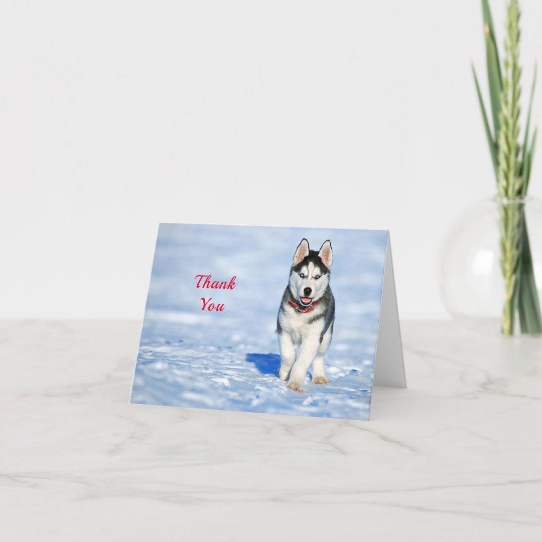 Husky Puppy Snow Photo Thank You Card | Zazzle