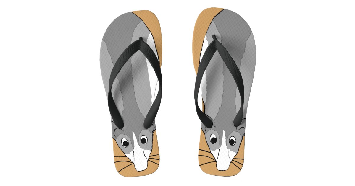 Husky rat flip flops | Zazzle