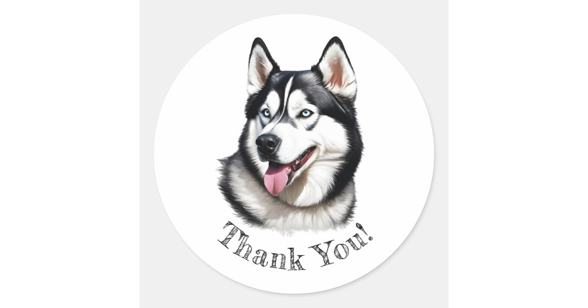 Husky Thank You! Stickers | Zazzle