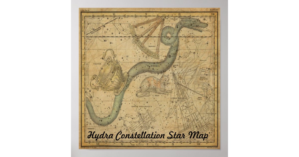 Hydra Constellation Star Map Vintage Astronomy Poster | Zazzle