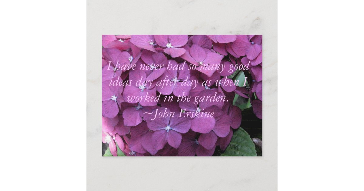 Hydrangea and Gardening Quote Postcard | Zazzle