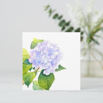 Hydrangea Card | Zazzle