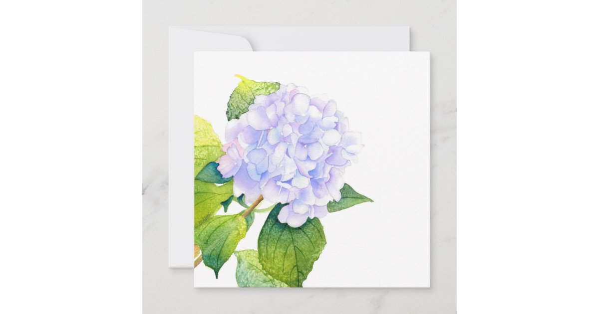 Hydrangea Card | Zazzle