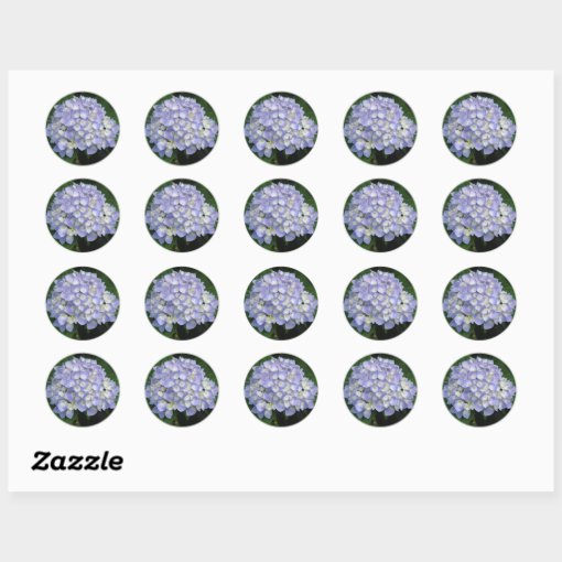 Hydrangea Classic Round Sticker | Zazzle