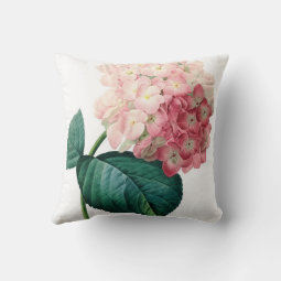 Hydrangea double flower illustration Redoute Throw Pillow | Zazzle