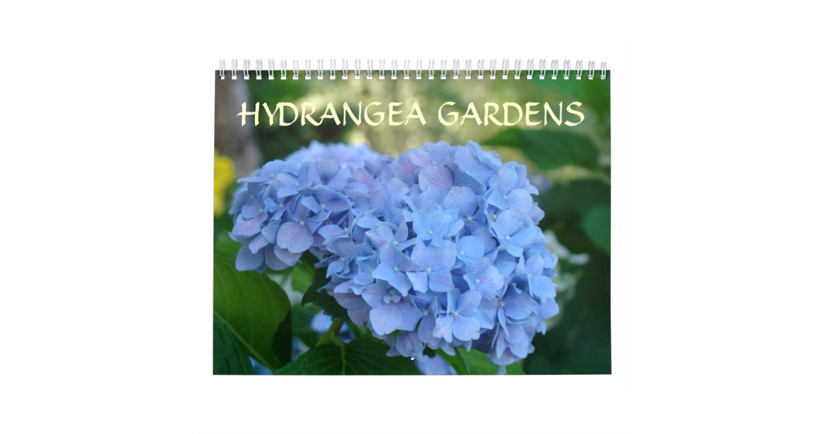 HYDRANGEA GARDENS Calendar Blue Hydrangeas | Zazzle