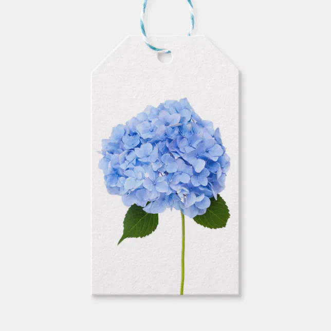 Hydrangea Gift Tags | Zazzle