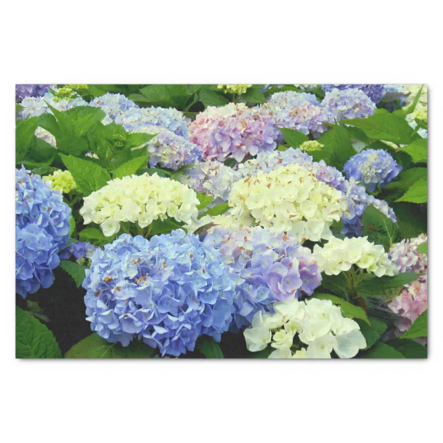 Hydrangea Mix-TISSUE WRAPPING PAPER | Zazzle
