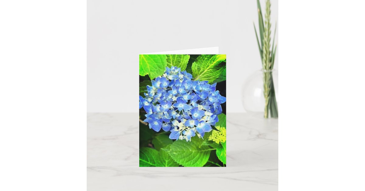 Hydrangea Note Card | Zazzle
