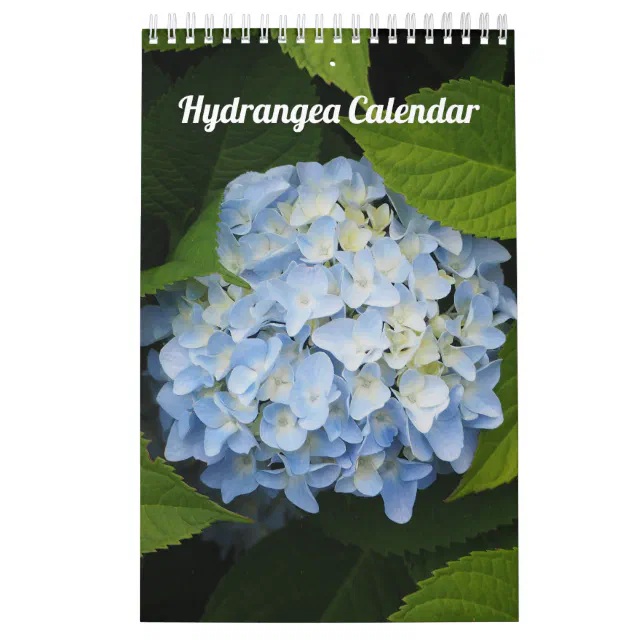 Hydrangea Single Page Calendar | Zazzle